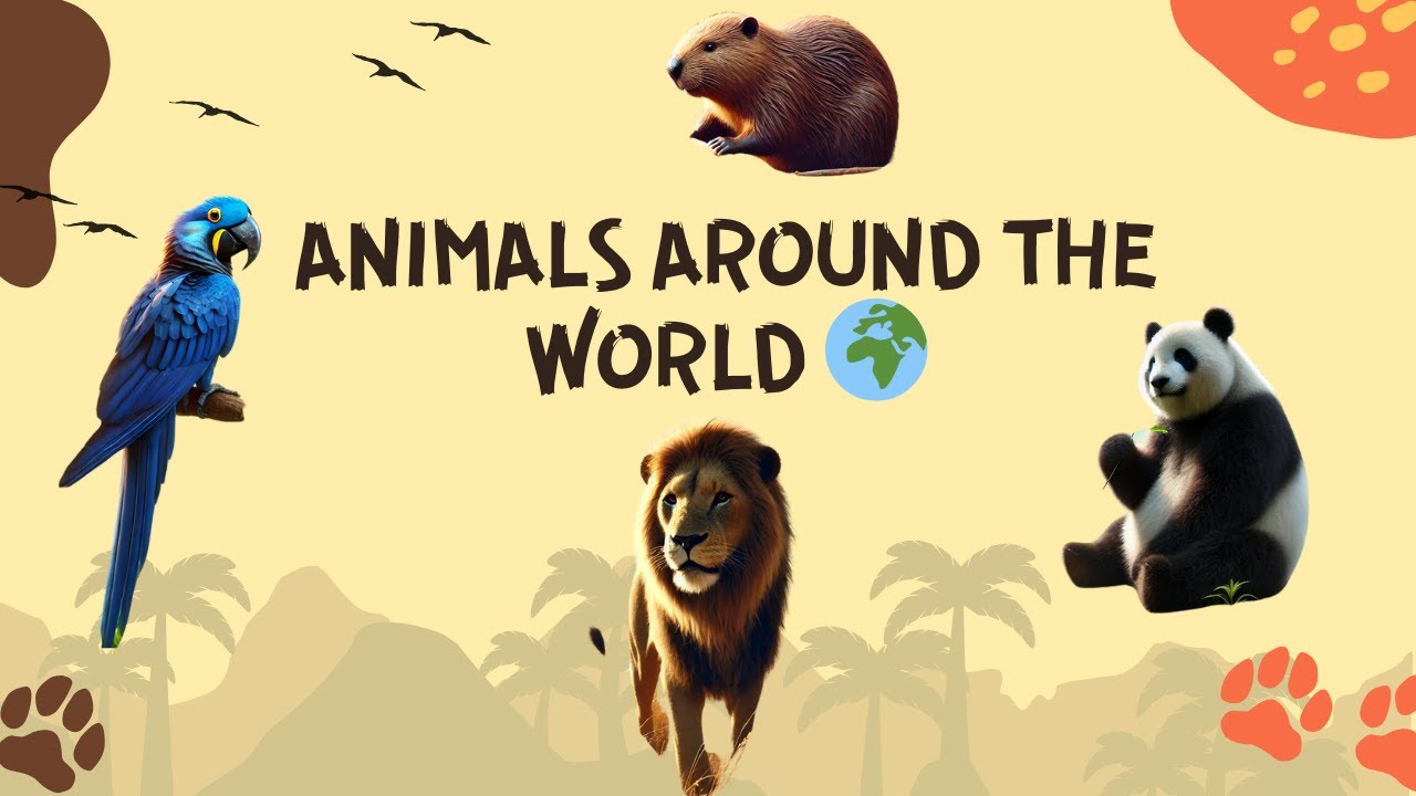 Animals Around the World 🌍 | Meet the Iconic Animals of Each Country ...