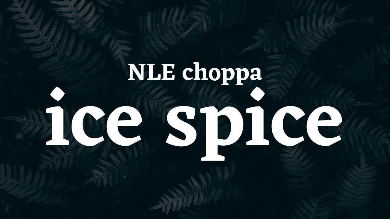 NLE Choppa - Ice Spice (MUNCH) (Official Music lyrics) - YouTube