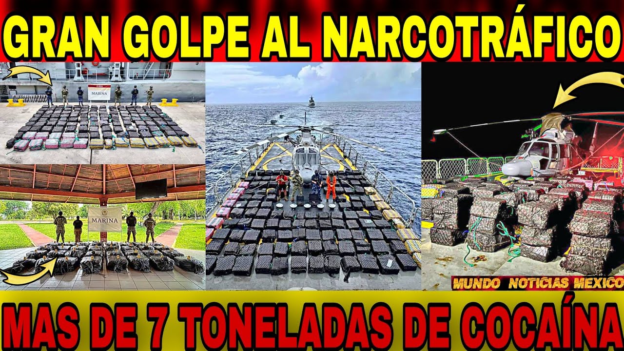 MEGA decomiso en Michoacán y Colima aseguran más de 7 TONELADAS de ...