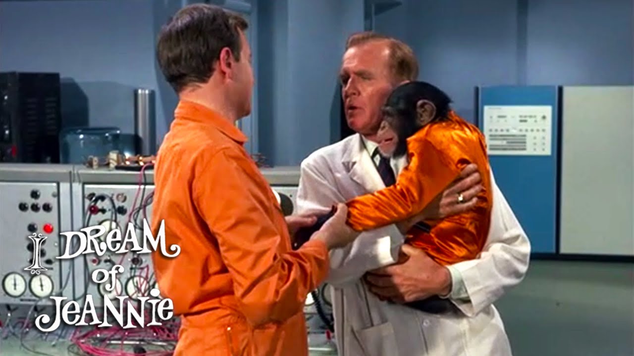 Tony Is Turned Into A Monkey | I Dream Of Jeannie - YouTube