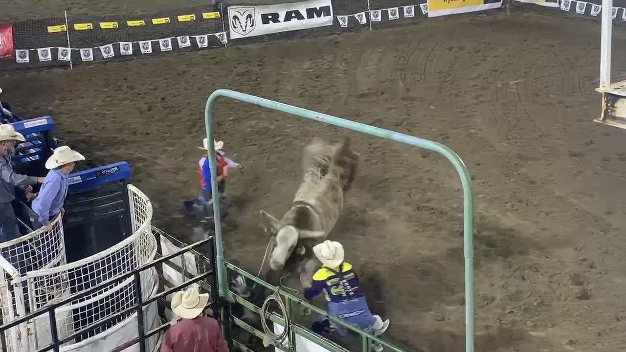 Ky Hamilton is thrown off Milburn Special at the Central Wyoming Rodeo ...