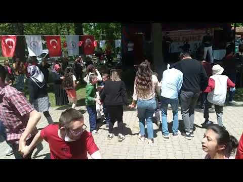 piknik halay 2