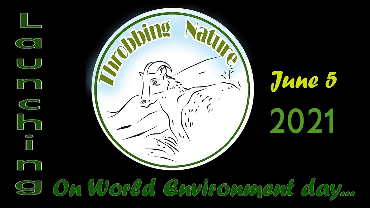Launch of Throbbing Nature - YouTube