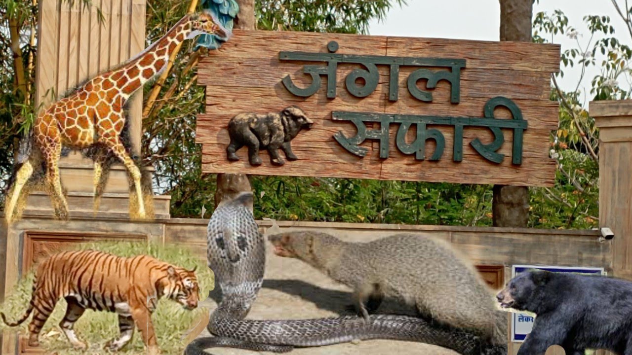 जंगल सफारी, नया रायपुर छत्तीसगढ़ ll Jangal safari, Atal Nagar Naya ...
