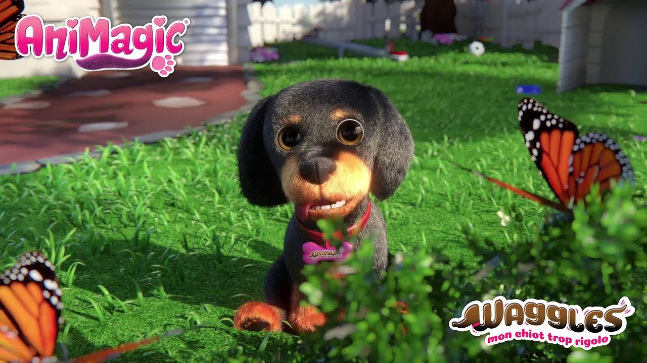 Animagic - Waggles joue avec des papillons - YouTube