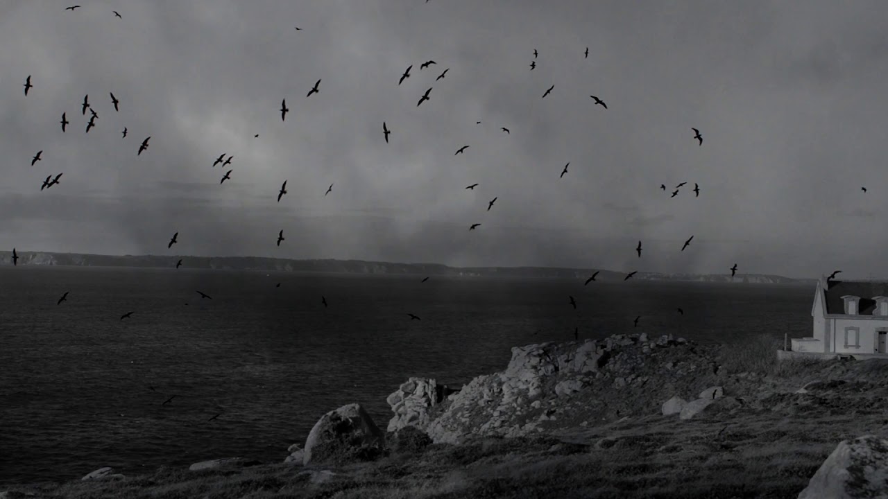 Stiko - Vapor Clouds (Official Video) - YouTube