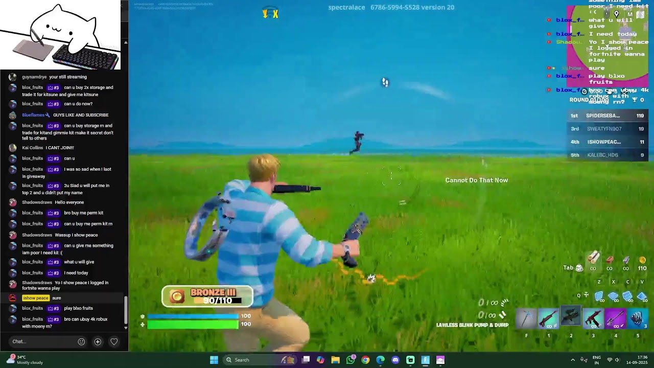 FORTNIGHT CAT PLAY! - YouTube