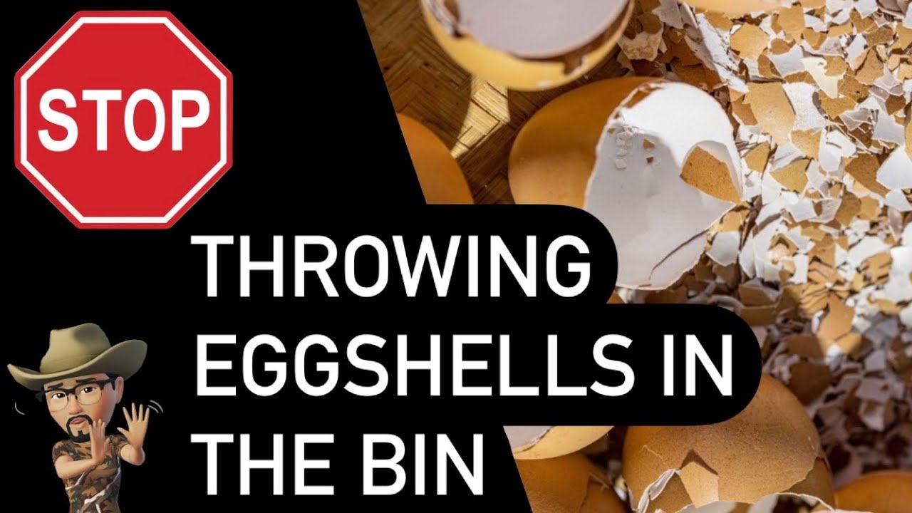 How to make eggshell powder organic fertilizer - YouTube