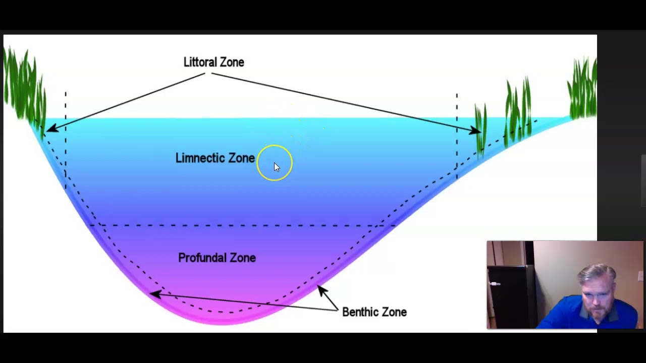 Lake and Ocean Zones - YouTube