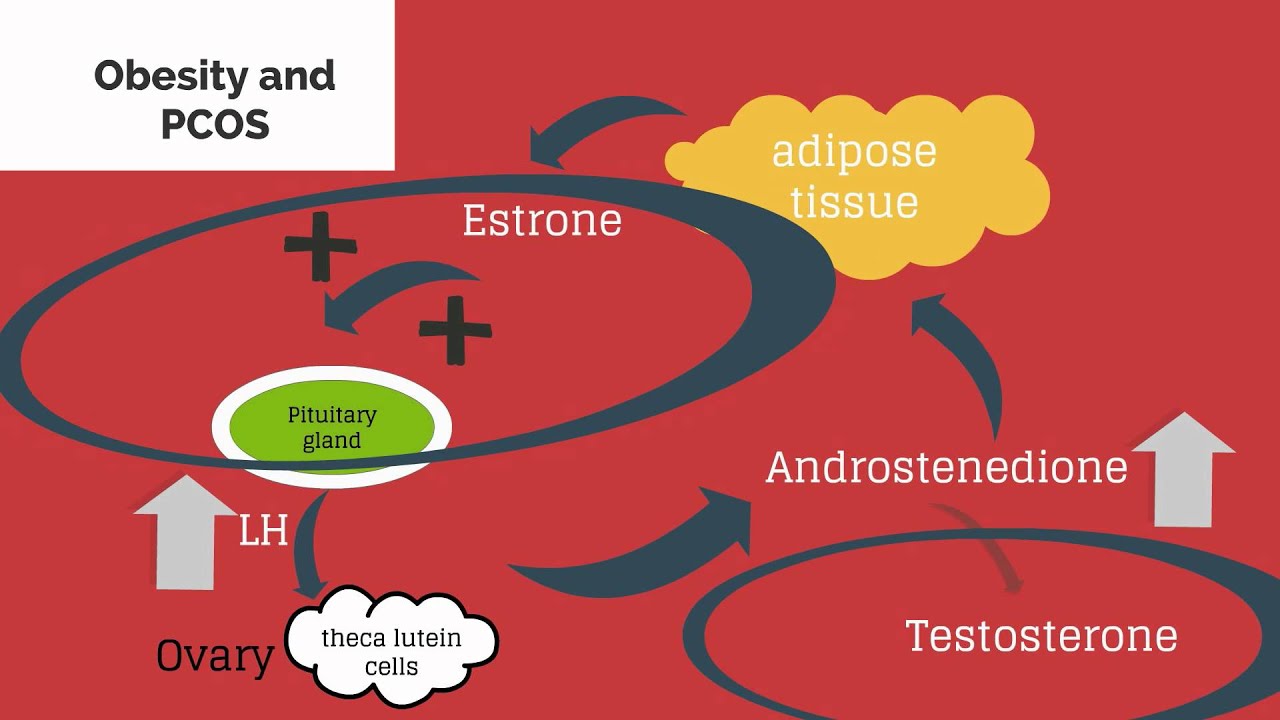 Topic 44: Hirsutism and Virilization - YouTube