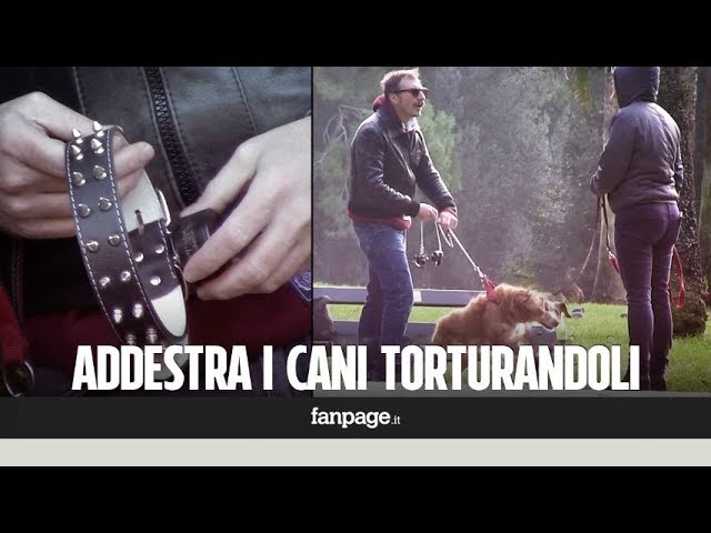 Meme Cane Razzista