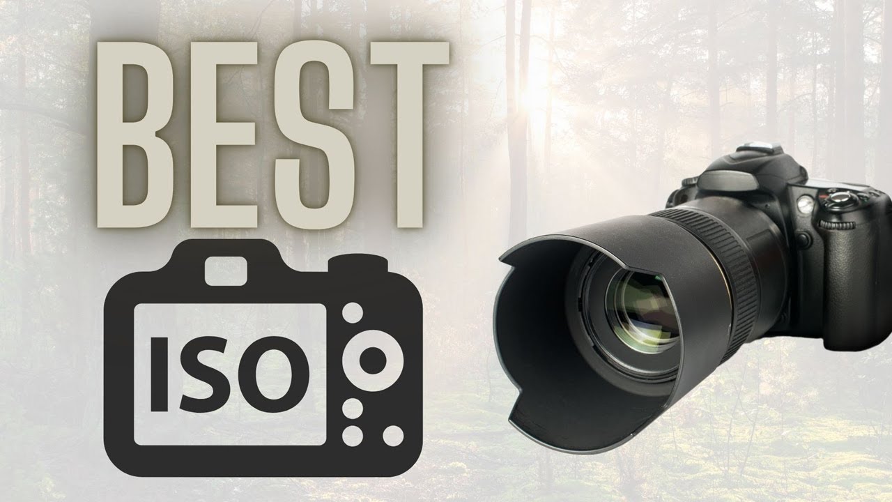 Ultimate Guide to Camera ISO. What ISO makes a good photograph. The ...