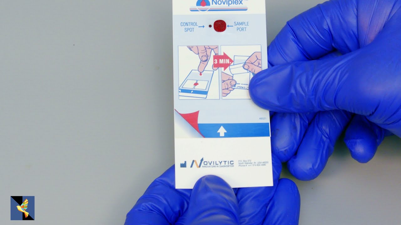 Noviplex Uno (Now Telimmune) 2021 Demonstration - YouTube