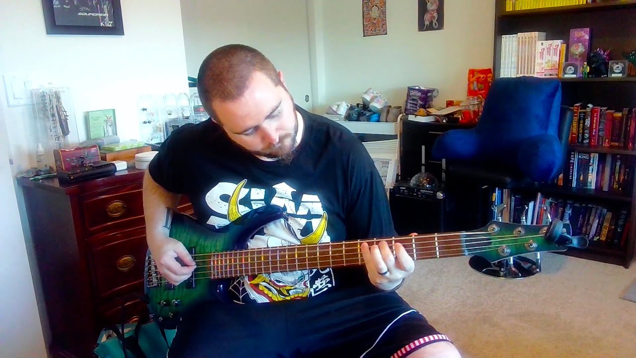 Zwitter by Rammstein Bass Cover - YouTube