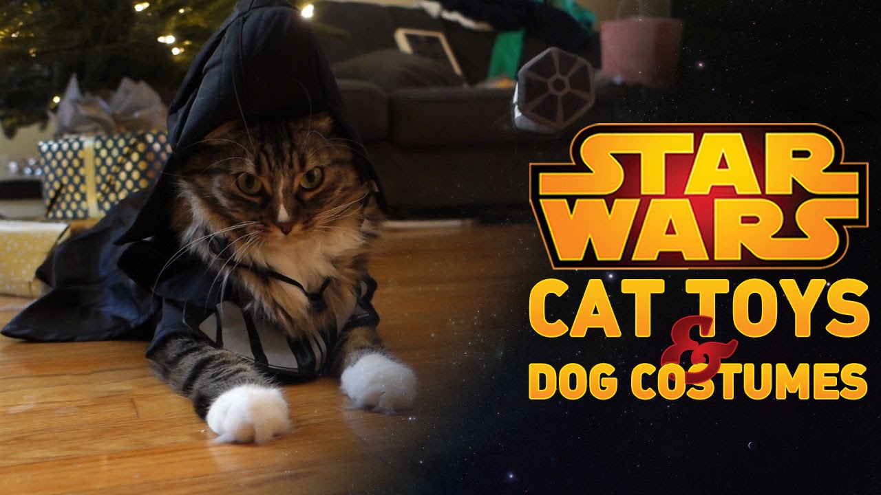 Star Wars Cat Costumes