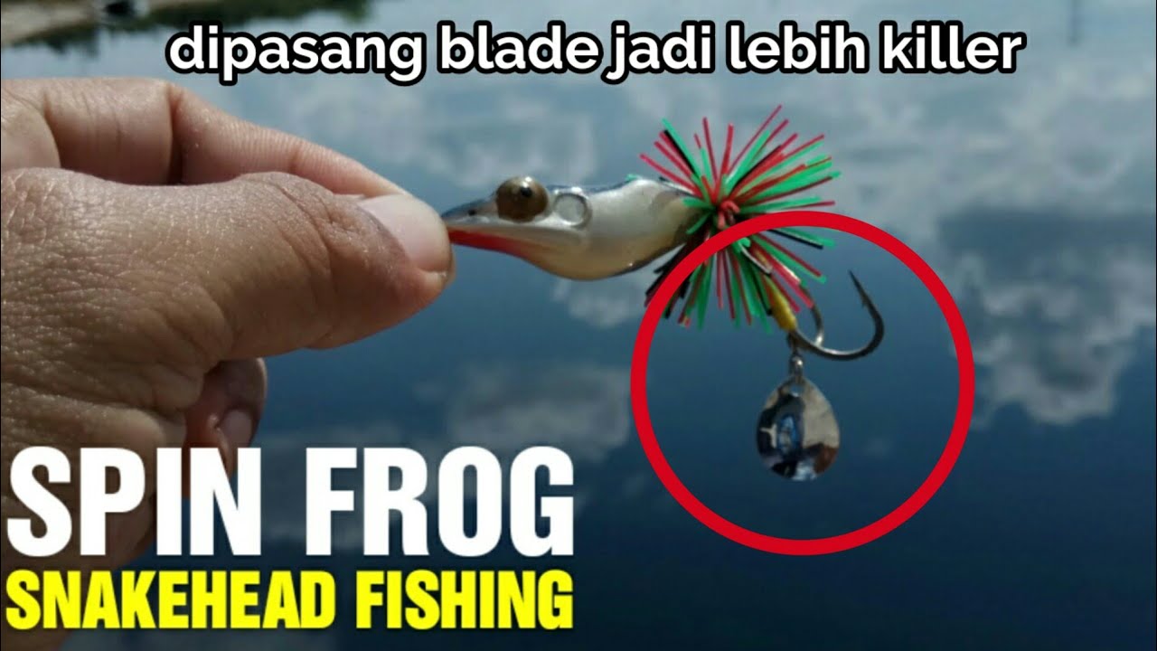 Casting Gabus With Spin Frog - YouTube
