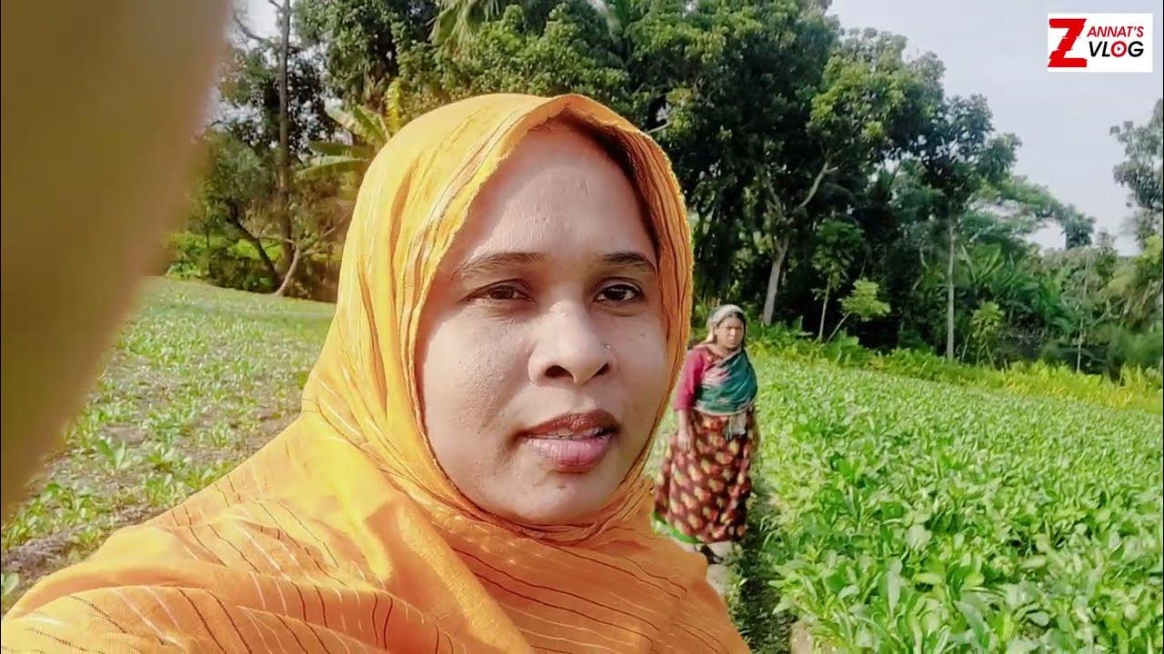 তেলা মাথায় সবাই তেল দেয়,কৃষকের খবর কেউ নেই না। village life। bangla village vlog। zannat's ...