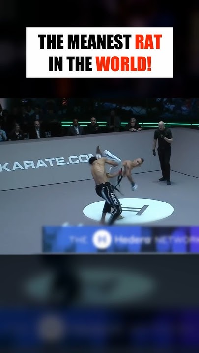 Look at That Sneaky Rat! - YouTube