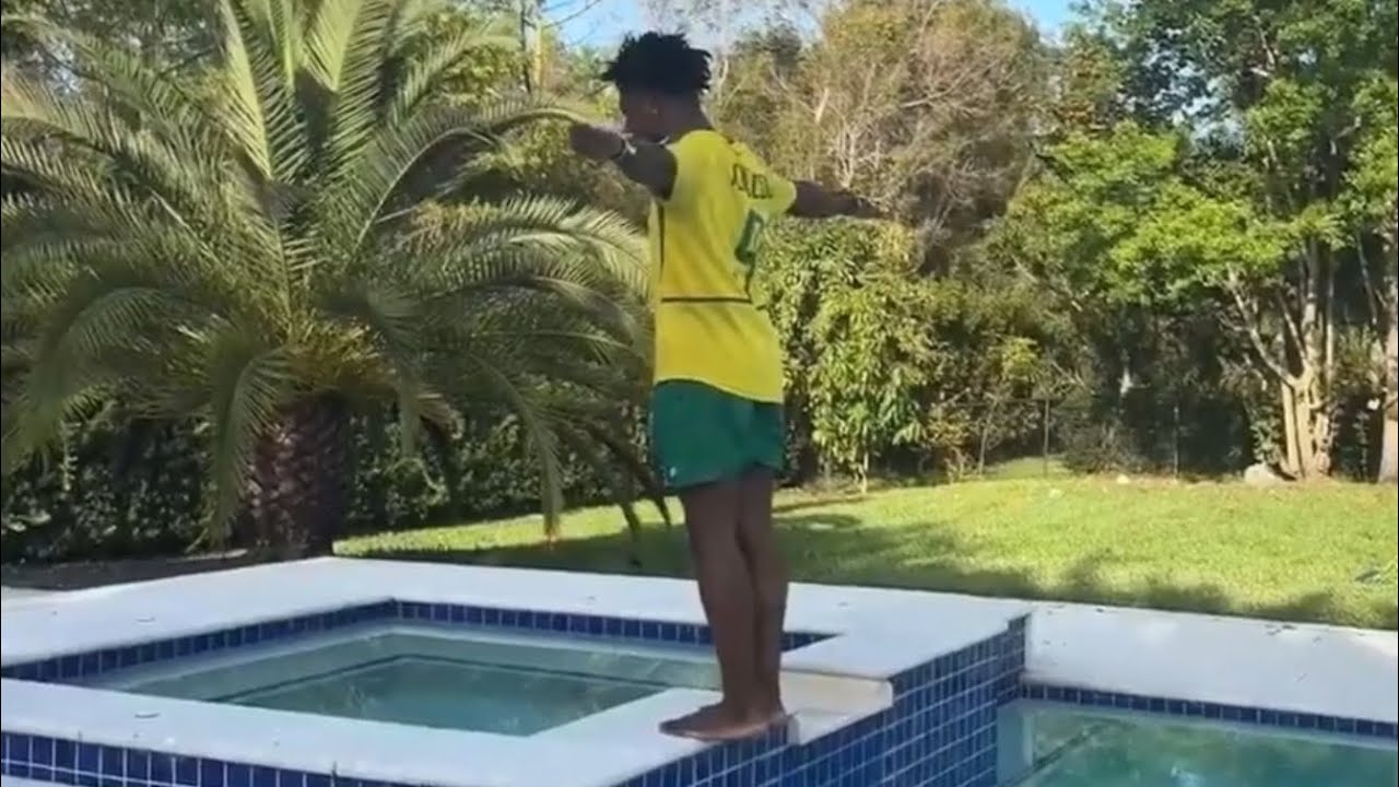 @IShowSpeed Perfect Backflip Dive #ishowspeed #viral - YouTube