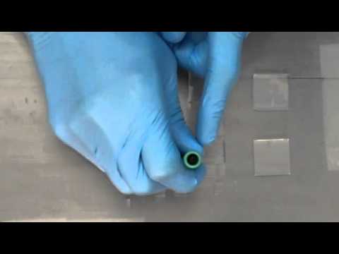 Preparation of agarose pads. - YouTube