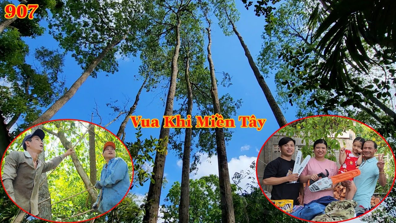 Quà tặng từ fans hâm mộ . Vua Khỉ Miền Tây đem theo đi làm ... đó là gì ? Mekong delta monkey ...