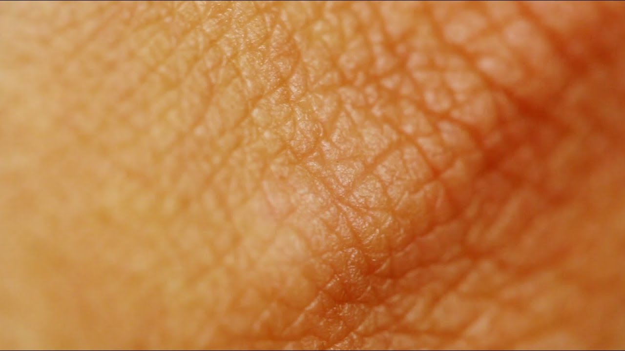 Free Stock Video - Human Skin Close Up - Free Download at Videvo.net ...