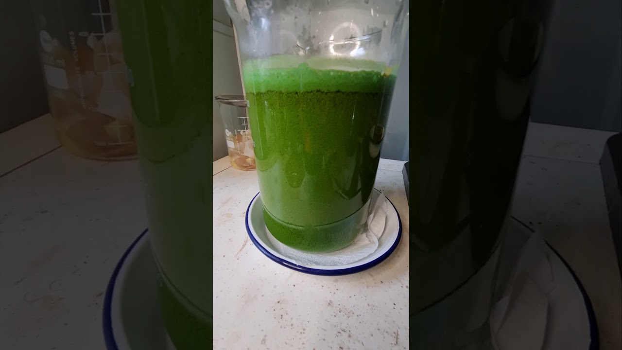 1.7kg mlcc's DMG drop - YouTube