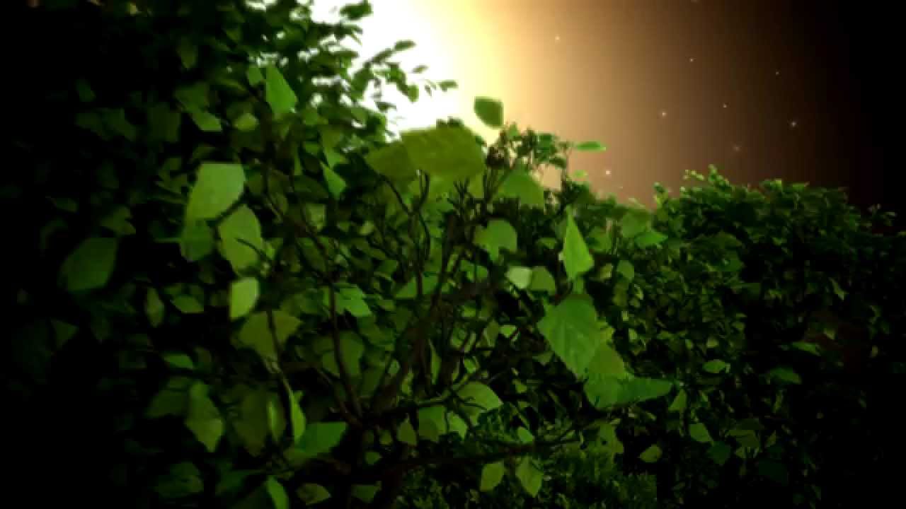 Octane + Cinema 4D + Forester - YouTube
