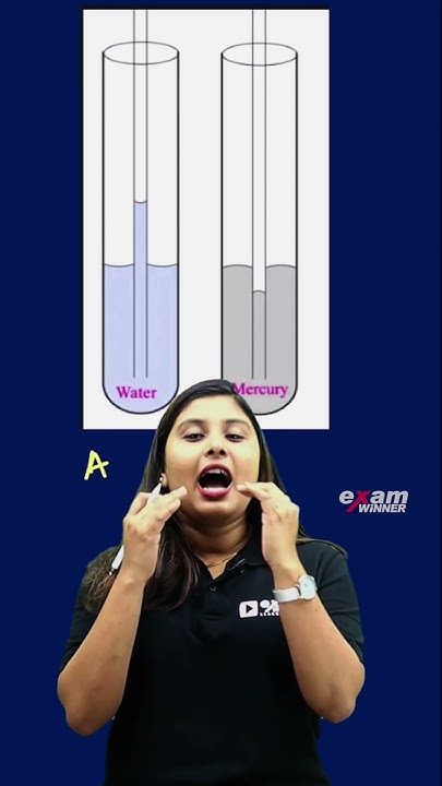 Capillary Rise and Depression | Forces in Fluids - Class 9 Physics - YouTube