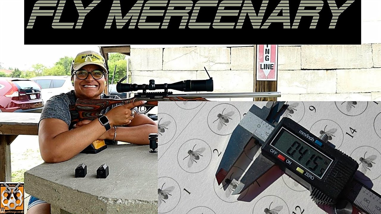 Fly Swatter Challenge: Sissy 10/22 Kidd Barrel SK Plus - YouTube