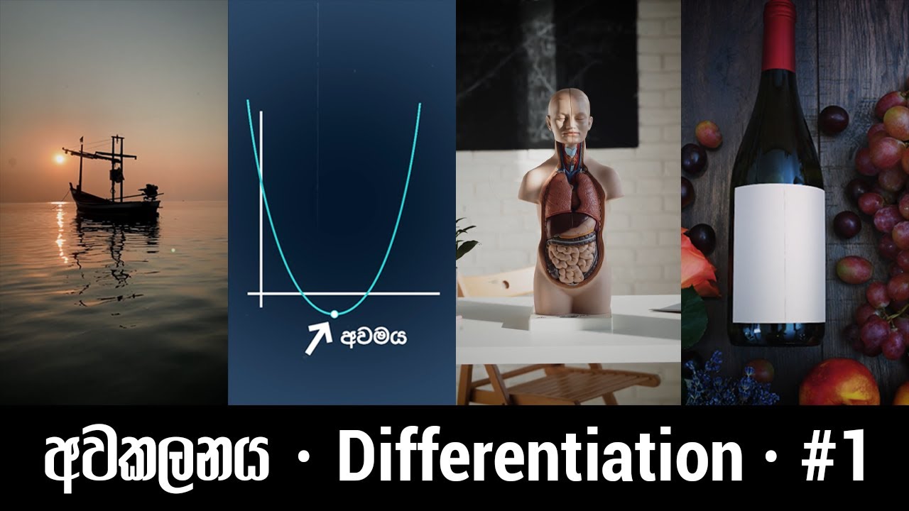 අවකලනය ගැන දන්නවද? Intro to Differentiation - YouTube