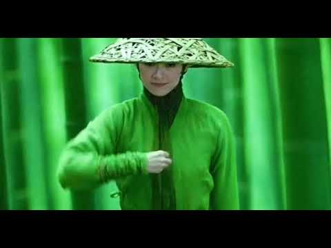 Zhang Ziyi The house of flying daggers