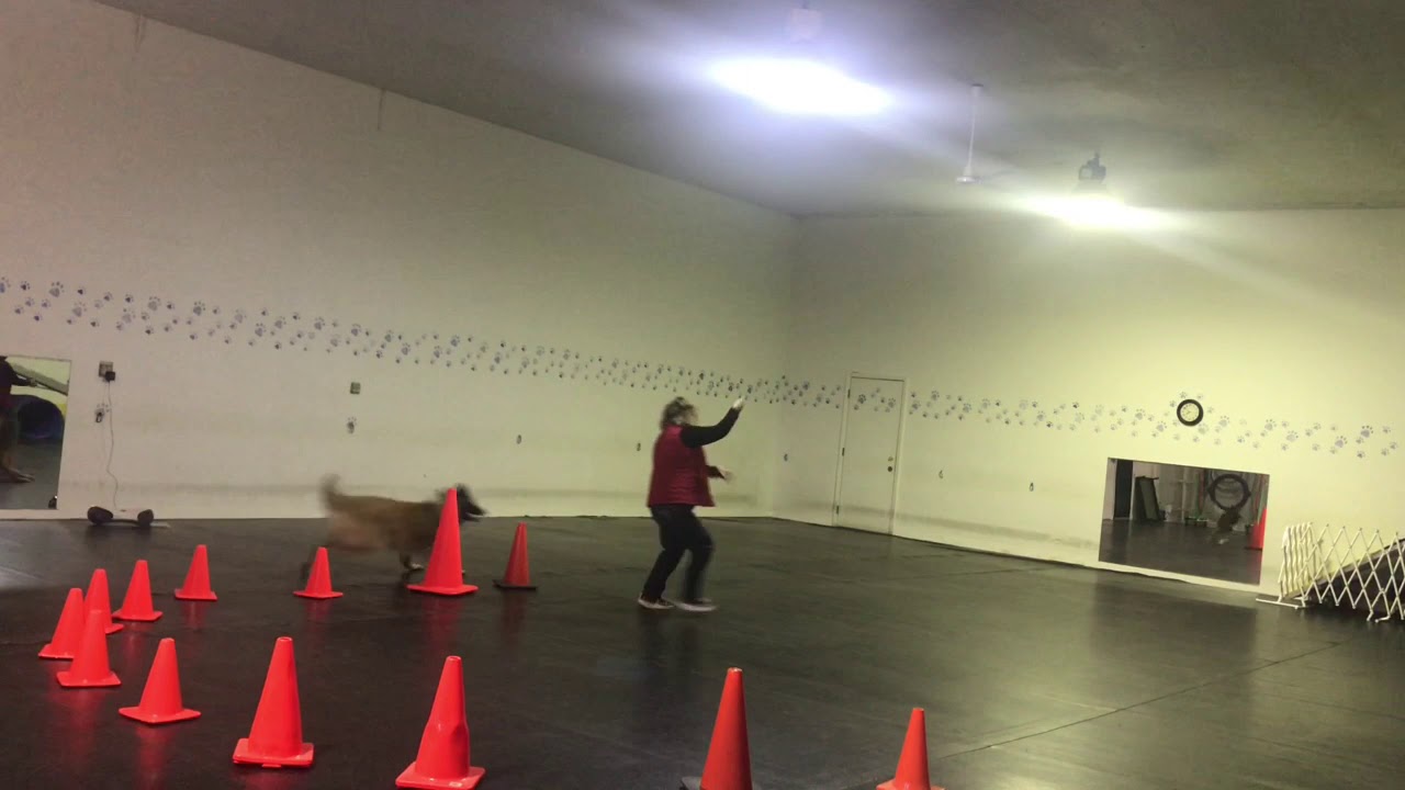 Run the room and beginning - YouTube