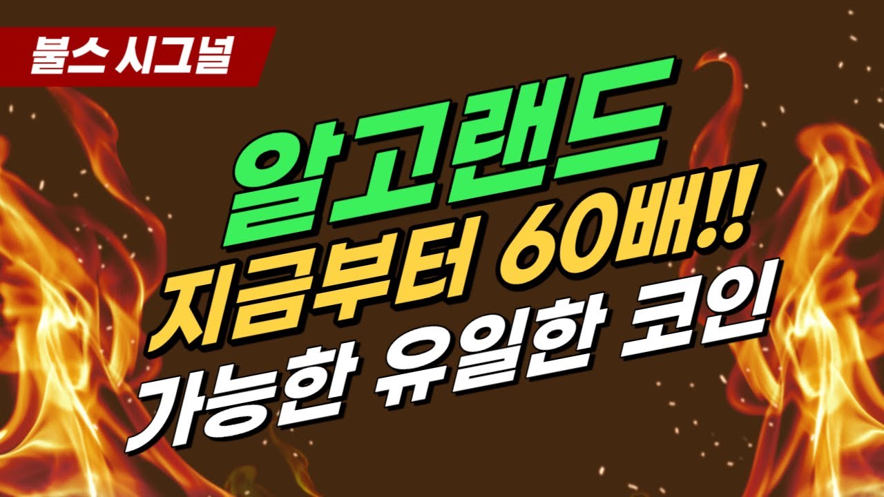 알고랜드 지금부터 60배 수익 볼 수 있는 유일한 코인 알고랜드코인알고랜드코인전망알고랜드코인매수가알고랜드코인