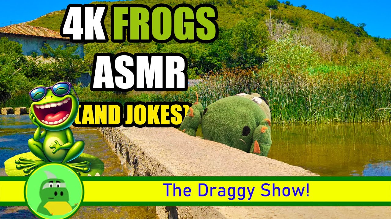 4K Perfect Study! Frogs ASMR And JOKES! - YouTube