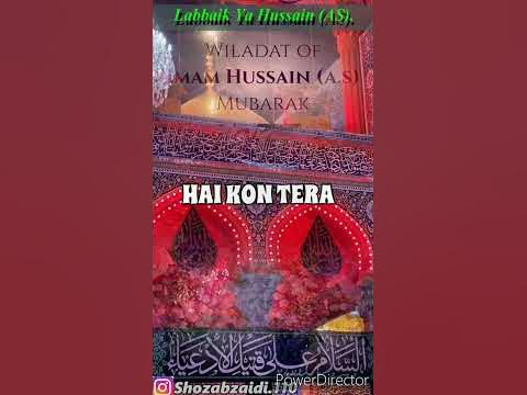 3 Shaban Status 🥰|| Wiladat Maula Imam Hussain (as). Mubarak|| Mera badshah Hussain (as). Hai ...