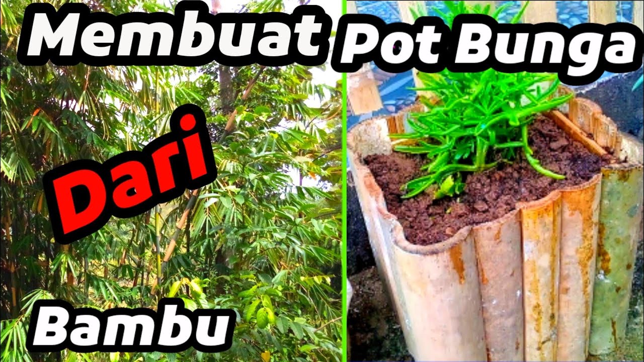 CARA MUDAH MEMBUAT POT BUNGA SIMPLE DARI BAMBU. - YouTube