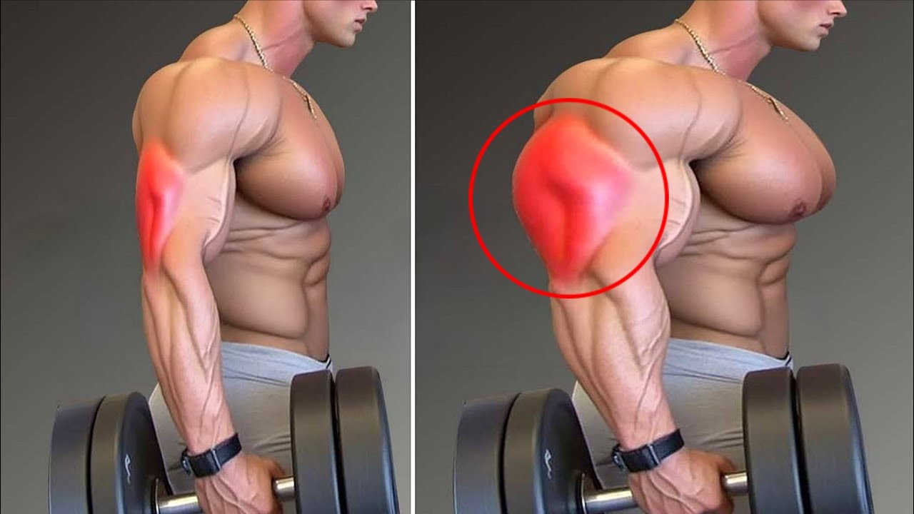 7 Best Dumbbells TRICEP Exercises Target All Triceps Muscle - YouTube