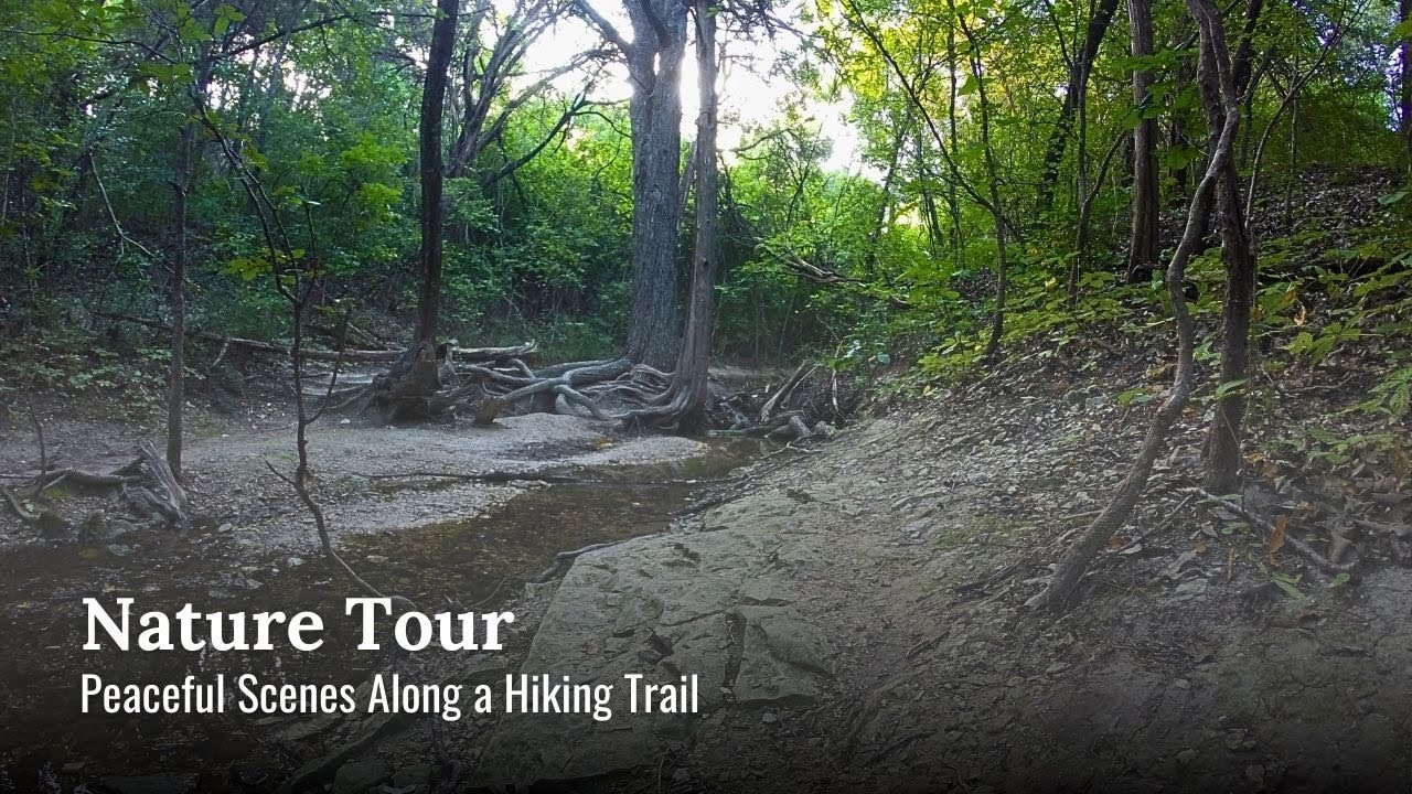 Nature Tour: Peaceful Scenes Along a Hiking Trail - YouTube
