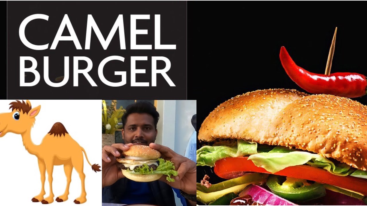 Camel Burger Dubai - YouTube