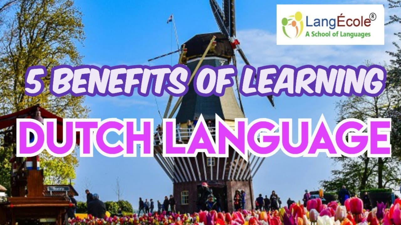 5 Benefits of Learning Dutch Language in India | Why should you learn ...