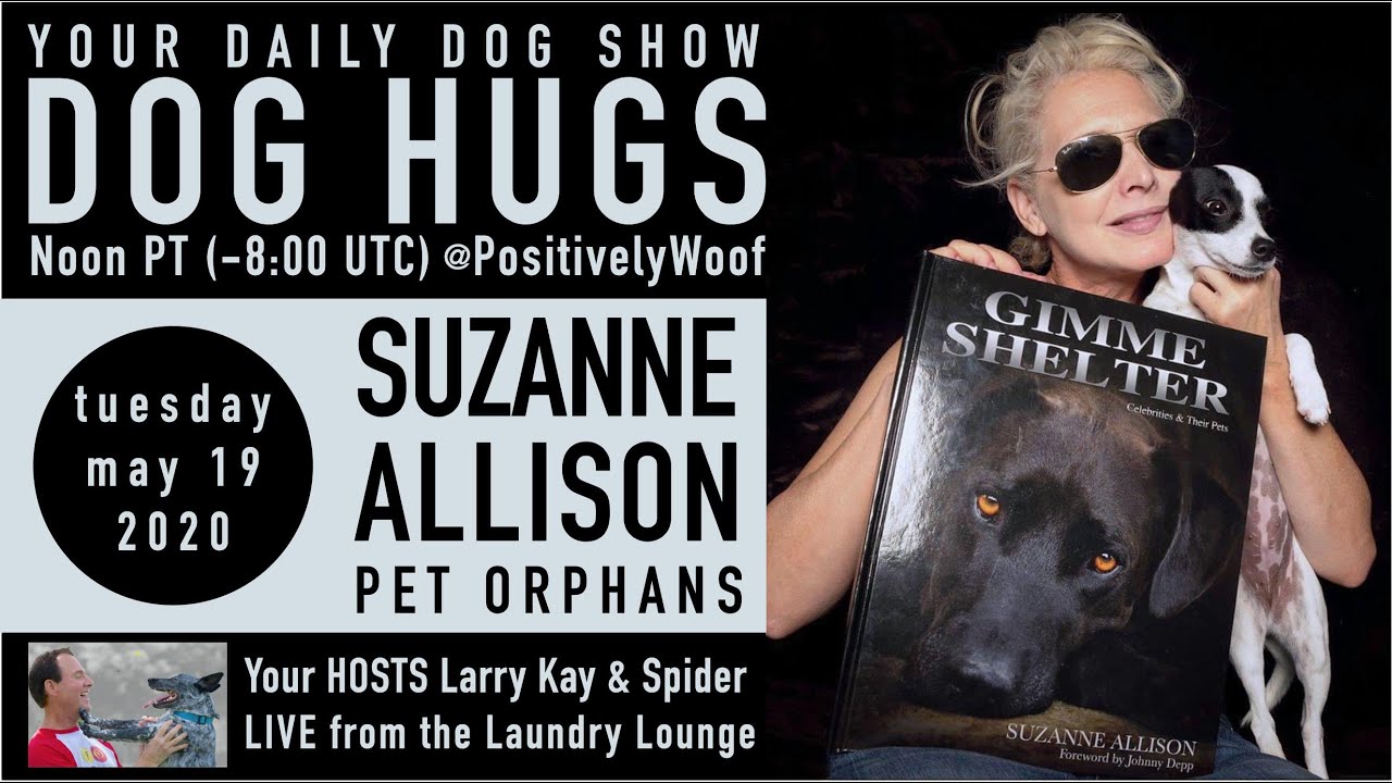 DOG HUGS 5/19/20 Guest: Suzanne Allison, photographer and President of ...
