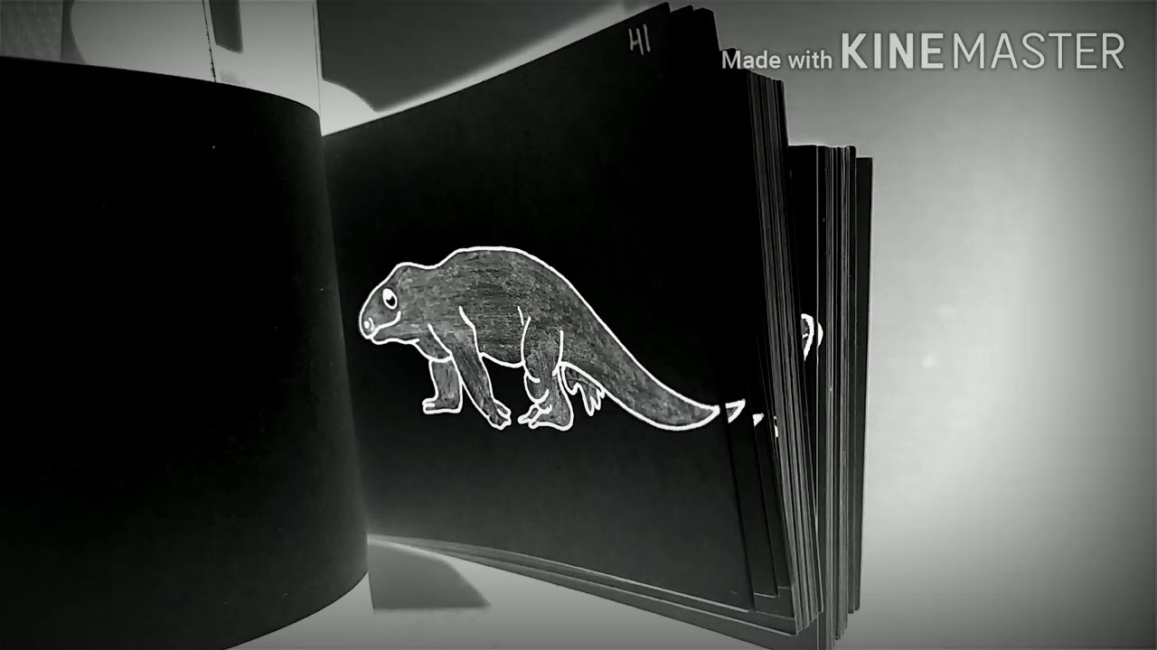Flip book on Human Evolution #human_evolution #600_million_years_of ...