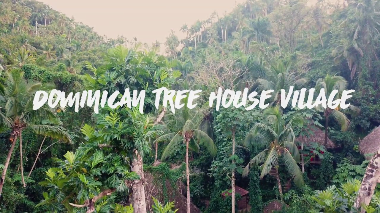 A Glimpse of The Dominican Tree House Village - YouTube