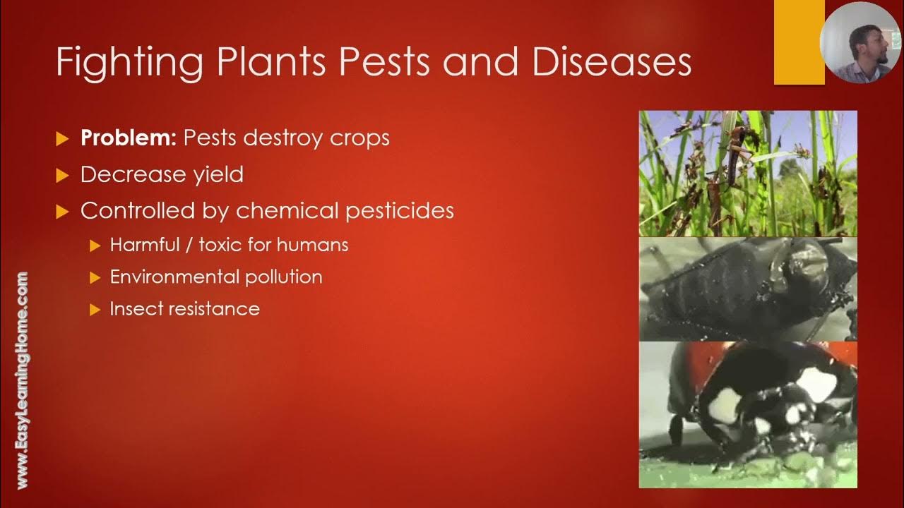 11 Biology - Chapter 01 - Lecture 07a - Biology In the Service of ...