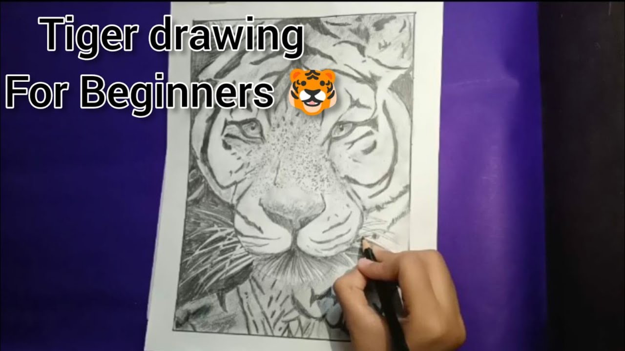 How to draw Tiger 🐯|| Easy Drawing - YouTube