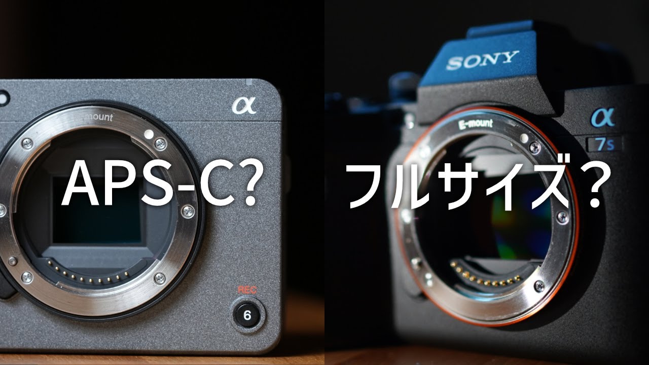 フルサイズとAPS-Cカメラの違いとは？カメラ初心者はどちらを選べばいい？ - YouTube