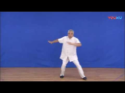 Wang Chang Jiang - Tai Chi style Chen Laojia Yilu [陈氏太极拳老架 Taijiquan style Chen] - YouTube