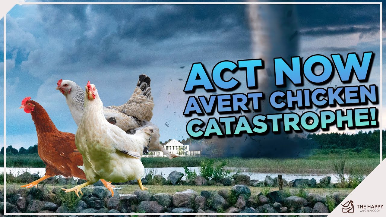 Chicken Keepers, Be Prepared: Vital Tips for Handling Emergencies with ...