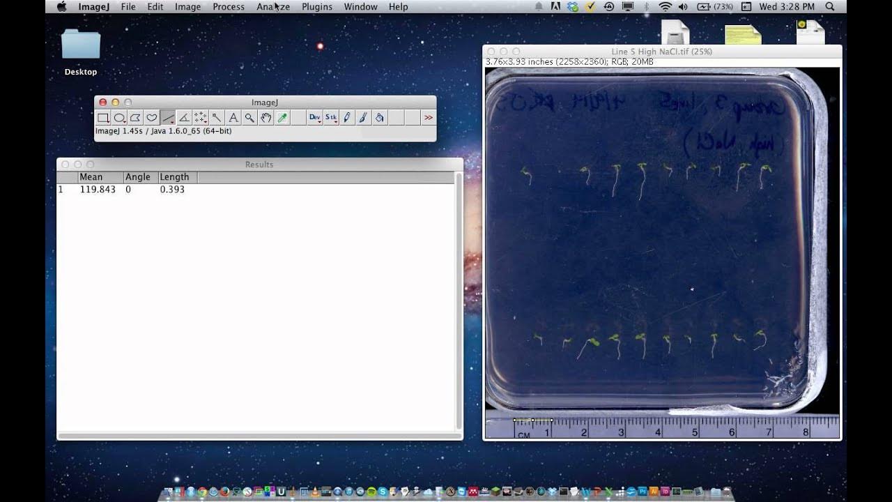 ImageJ Tutorial - Measuring Lengths and Angles - YouTube